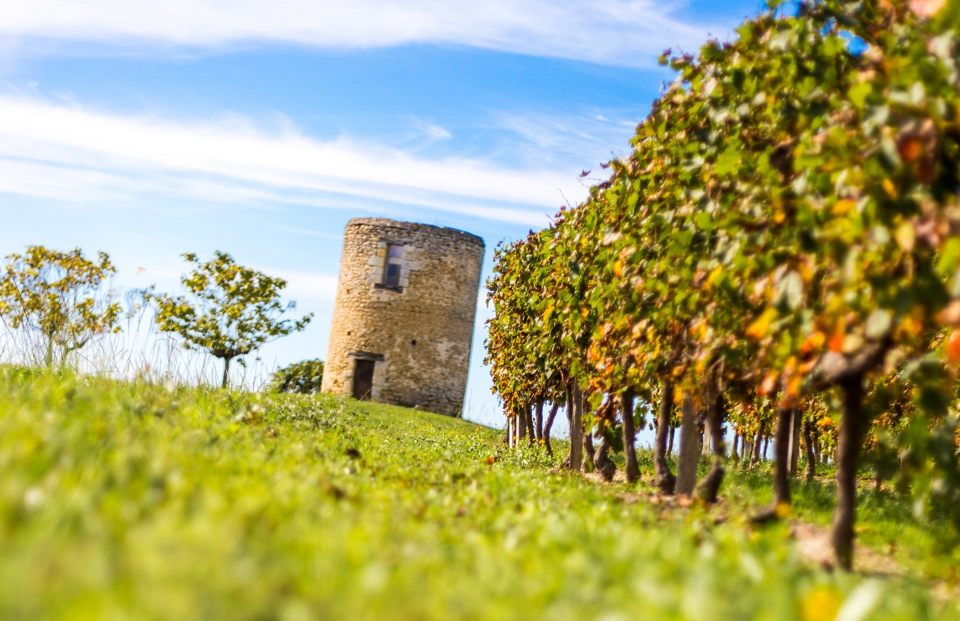 What to do in Saint-Savin? - Blaye Bourg Terres d’Estuaire